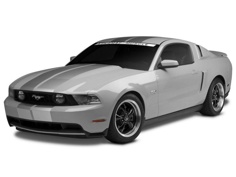 American Muscle Graphics Mustang Silver GT500 Style Stripes - 10 in ...