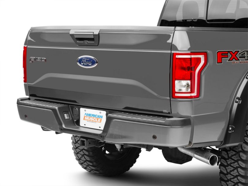 F-150 Black Platinum Tailgate Upper and Lower Accent (15-20 F-150)