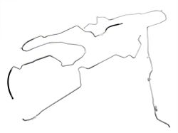 Russell Mustang Stainless Steel - AN Fuel Line Kit 651106 (05-10 GT ...