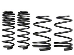 2010-2014 Mustang Springs | AmericanMuscle