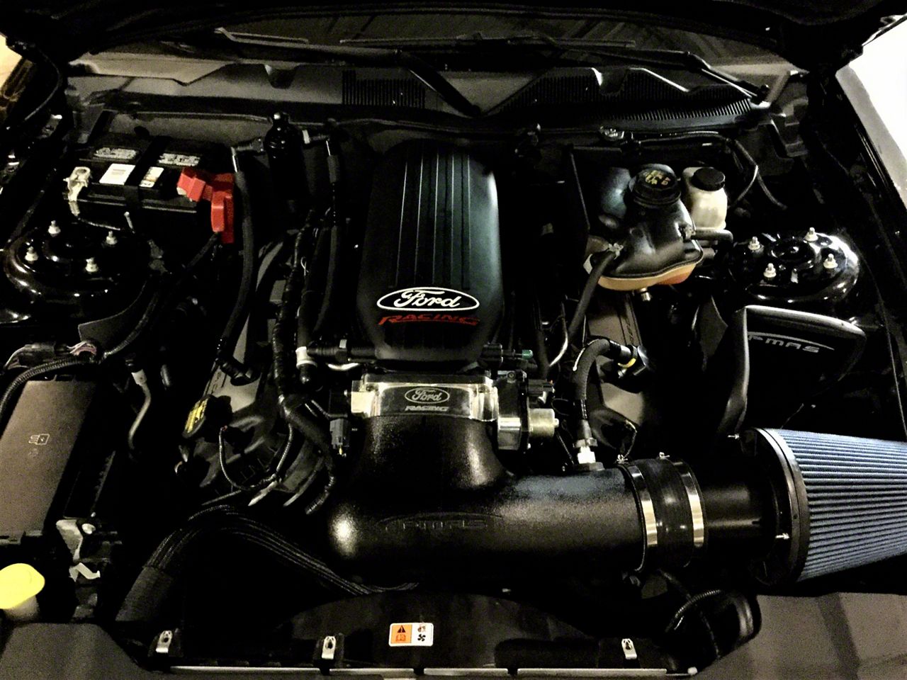 PMAS Mustang Cobra Jet Cold Air Intake N-CJ12-1 (11-14 Mustang GT ...