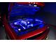 Oracle Jeep Wrangler 48-Inch Flexible LED Strip Engine Bay Lighting Kit ...