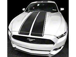 Mustang Racing Stripes, Lemans Stripes | AmericanMuscle