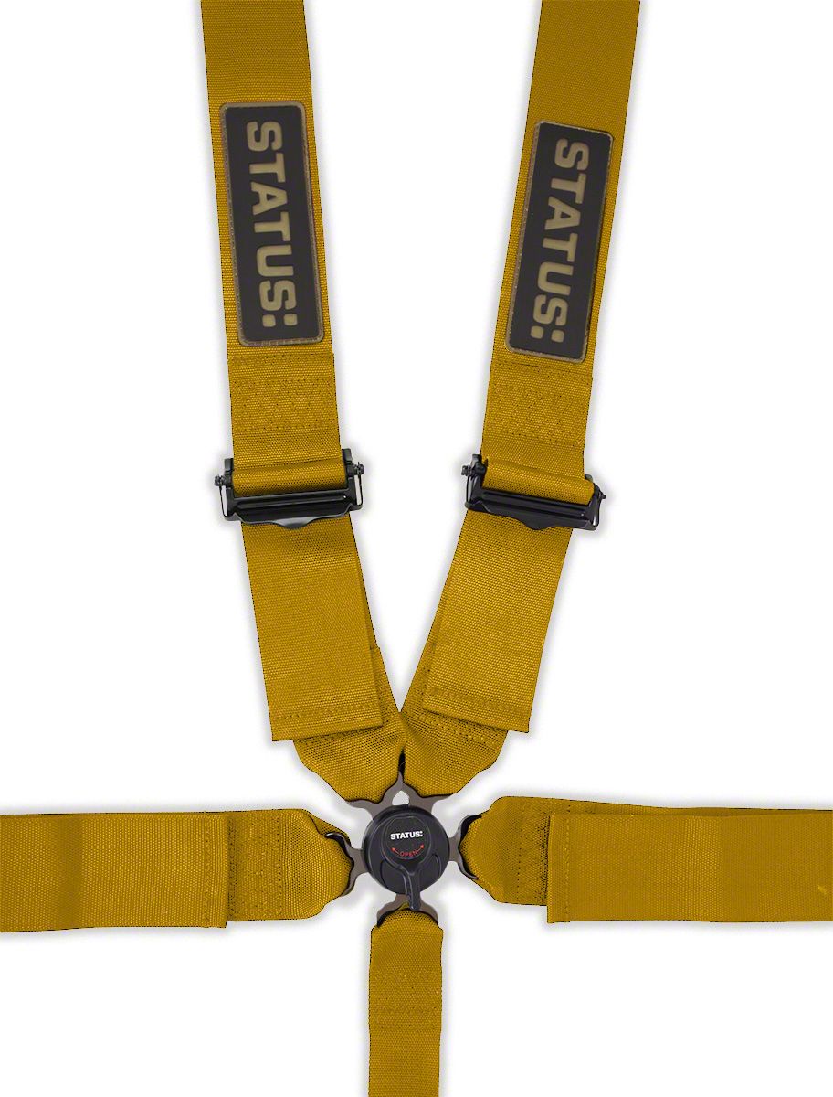Status: Jeep Renegade 5-Point Camlock Harness; Gold SRSB5.GO (Universal ...