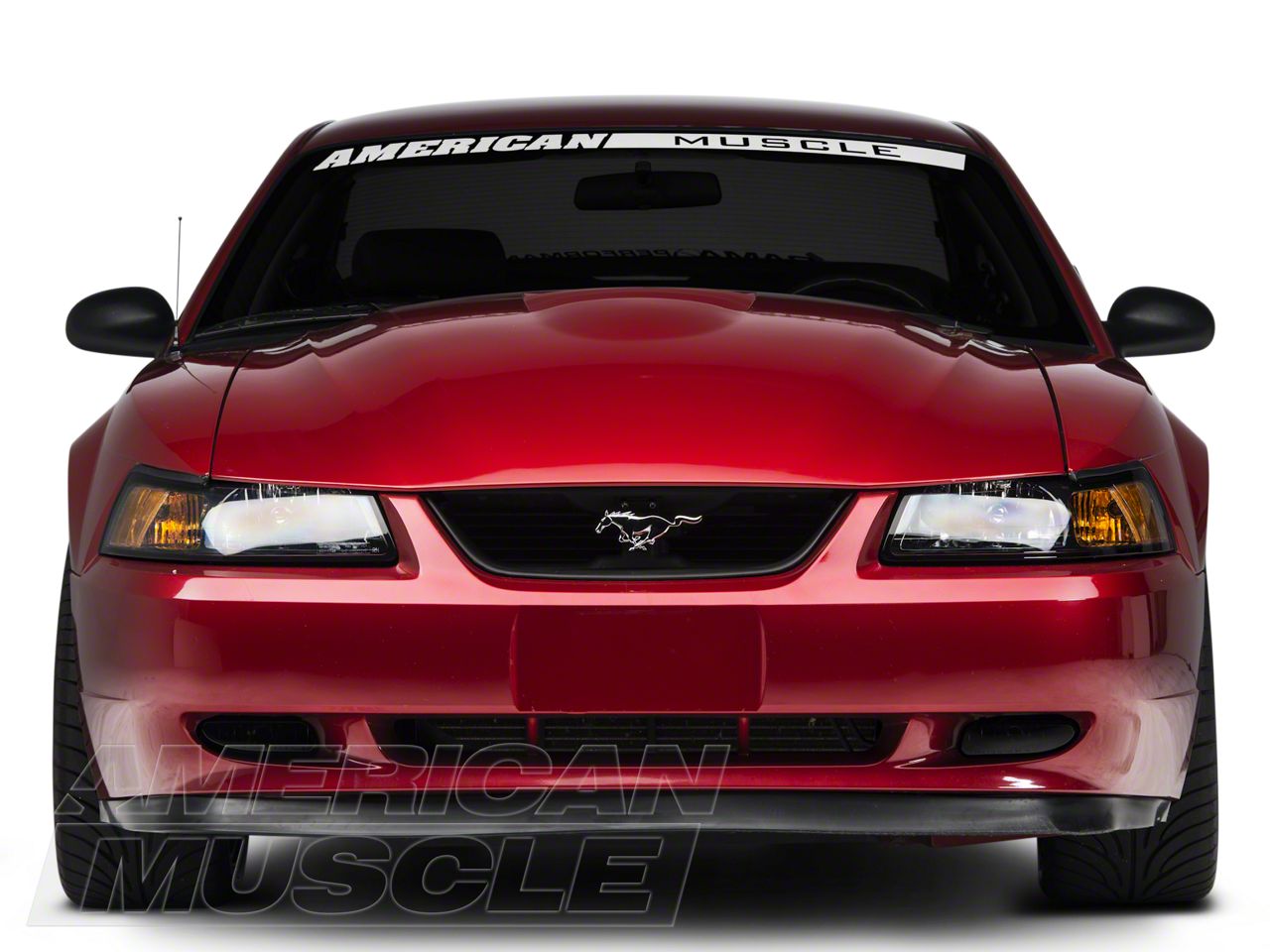 Cervini's Mustang 2000 Cobra R Style Hood; Unpainted 154 (99-04 Mustang ...
