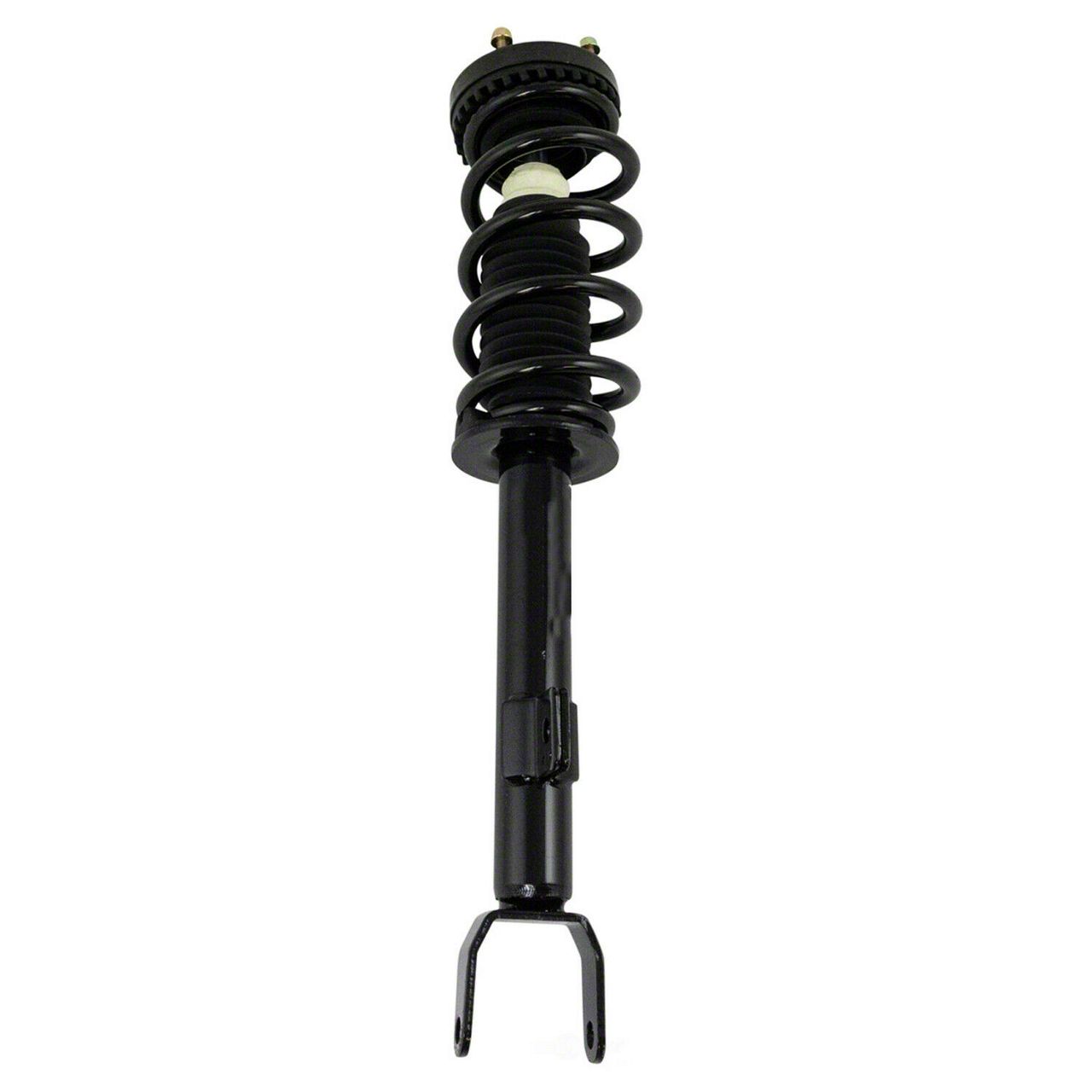 Charger Front Strut and Spring Assembly (12-19 RWD Charger R/T; 11-19 ...