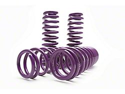 2011-2022 Dodge Charger Springs | AmericanMuscle