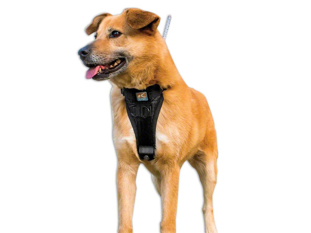 Jeep Wrangler TruFit Smart Dog Walking Harness - Black