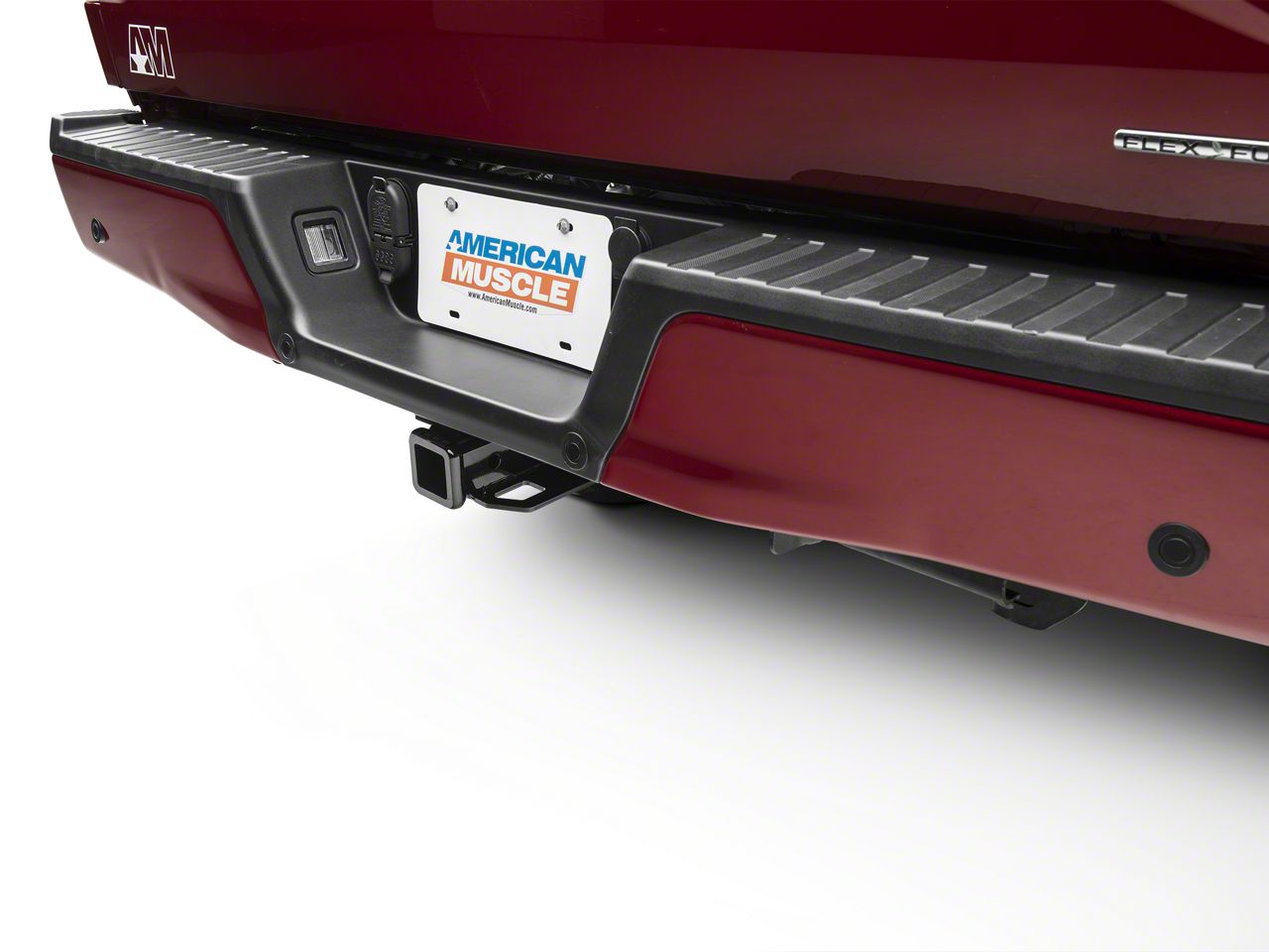 F-150 Class IV Trailer Hitch (15-20 F-150)