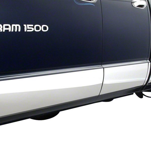 Tacoma Rocker Panel Stainless Steel Molding (05-15 Tacoma Double Cab ...