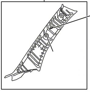 Toyota Tundra Body A-Pillar Trim Panel; Gray 62220-0C050-B0 (07-21 ...