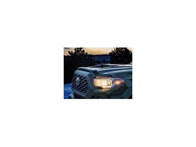 Toyota Tundra Bug Deflectors & Rain Guards | ExtremeTerrain